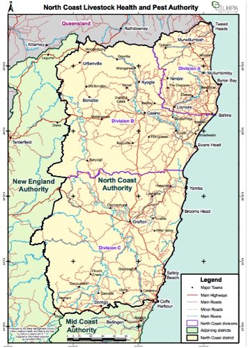 Cattle tick risk analysis