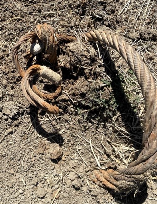 Lead poisoning lessons